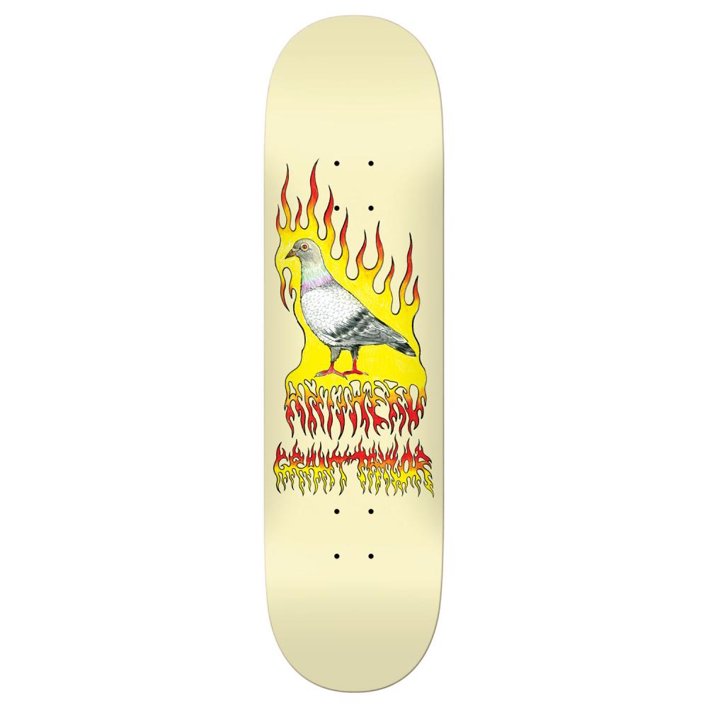 Antihero Taylor Pigeon Vision Deck - 8.5" - Seed Skateshop